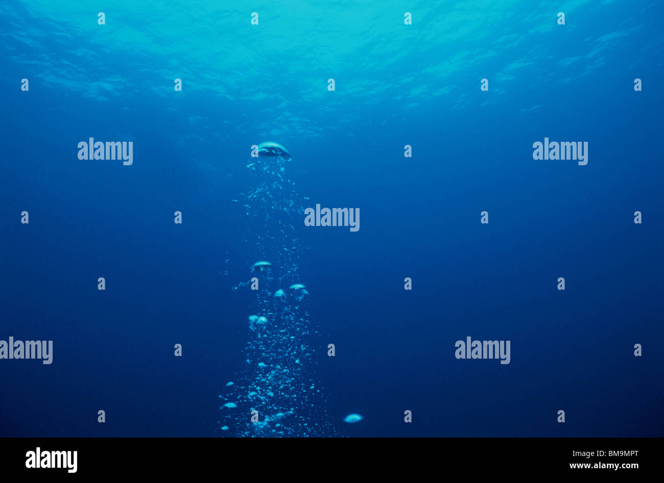 Bubble underwater moving up Stock Photo - Alamy