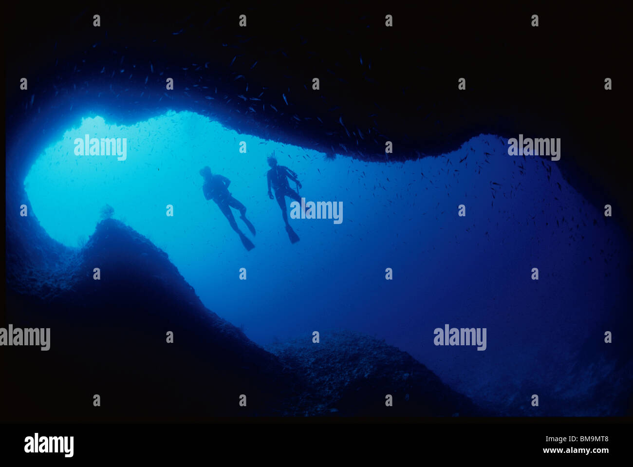 Two scuba divers underwater Stock Photo - Alamy