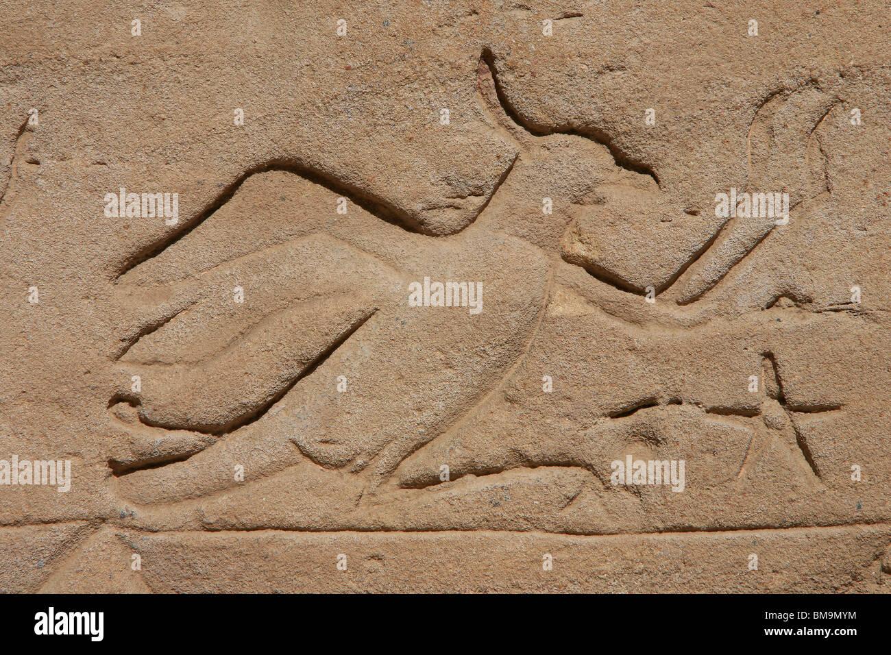Hieroglyph bird hi-res stock photography and images - Alamy