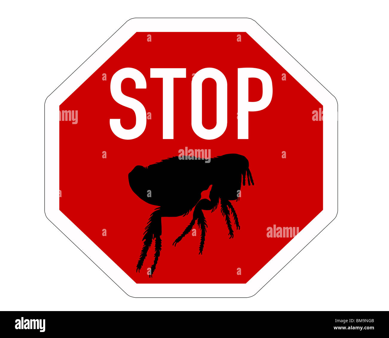 Stop sign for fleas Stock Photo - Alamy