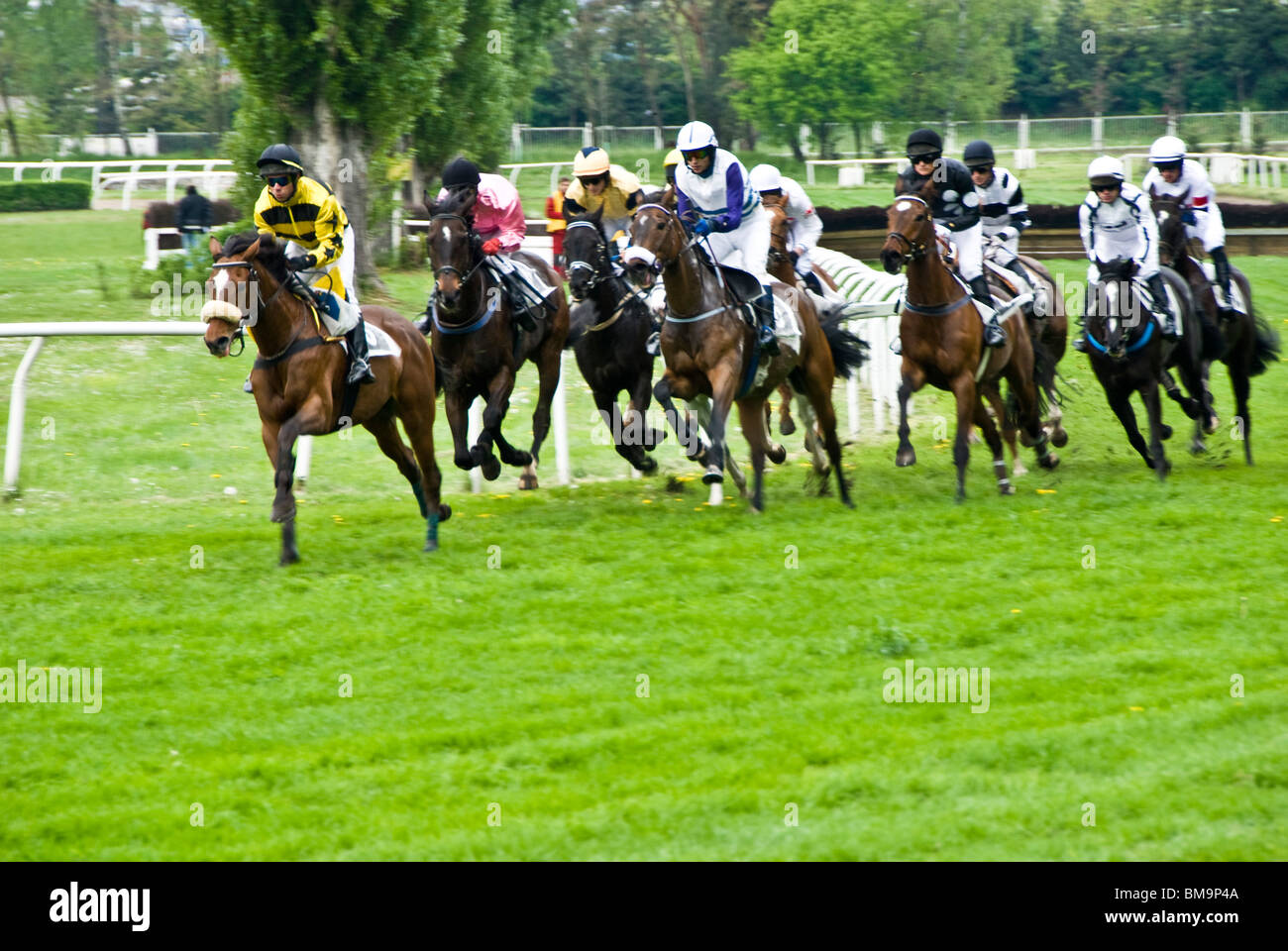 the final sprint during a horse race competition Stock Photo - Alamy
