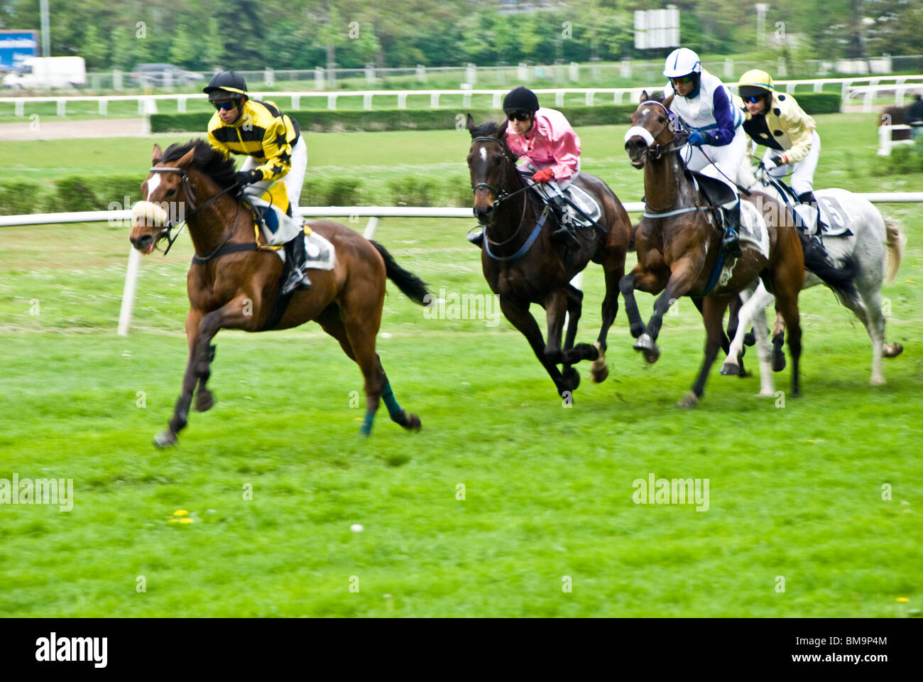 the final sprint during a horse race competition Stock Photo - Alamy