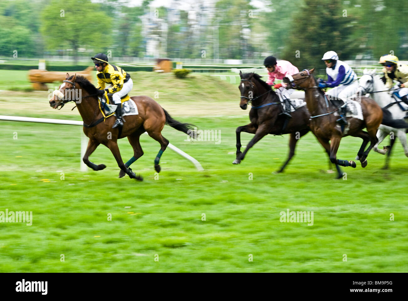 the final sprint during a horse race competition Stock Photo - Alamy