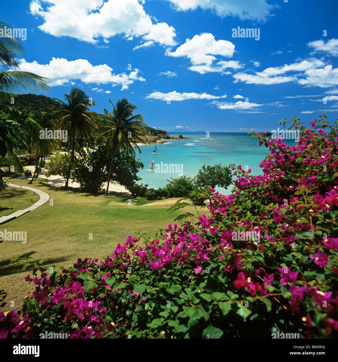 Colourful view over Hawksbill Beach on the island of Antigua Stock ...