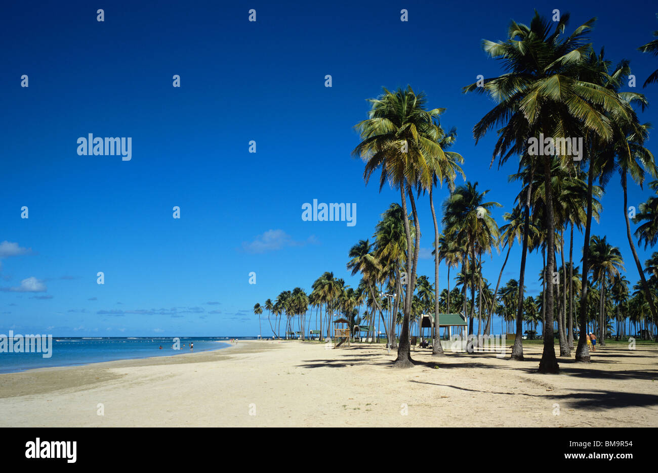 Luquillo Beach, a mile long sand beach lined by palm trees on the ...