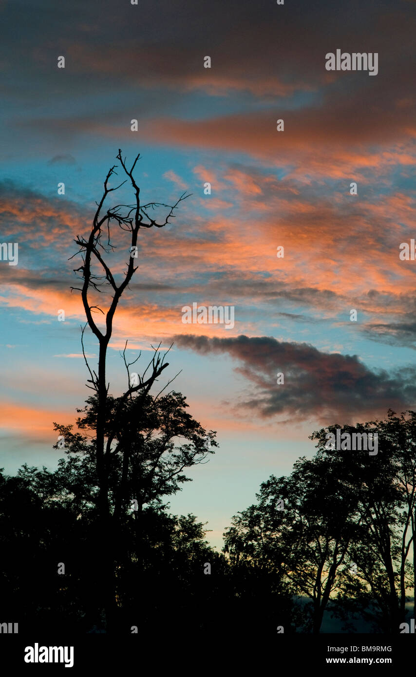 Colourful african sunset hi-res stock photography and images - Alamy