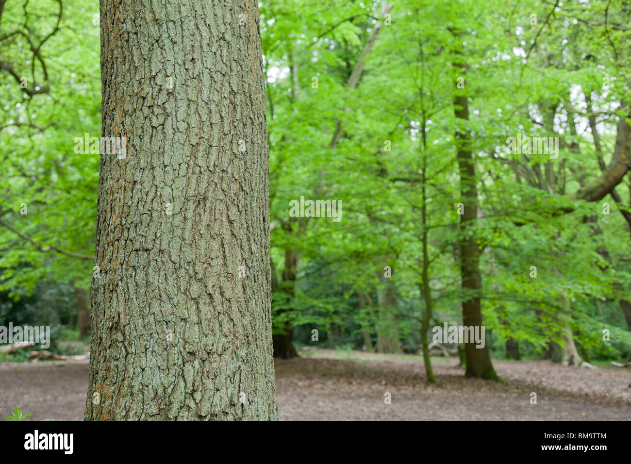In hampstead hi-res stock photography and images - Alamy