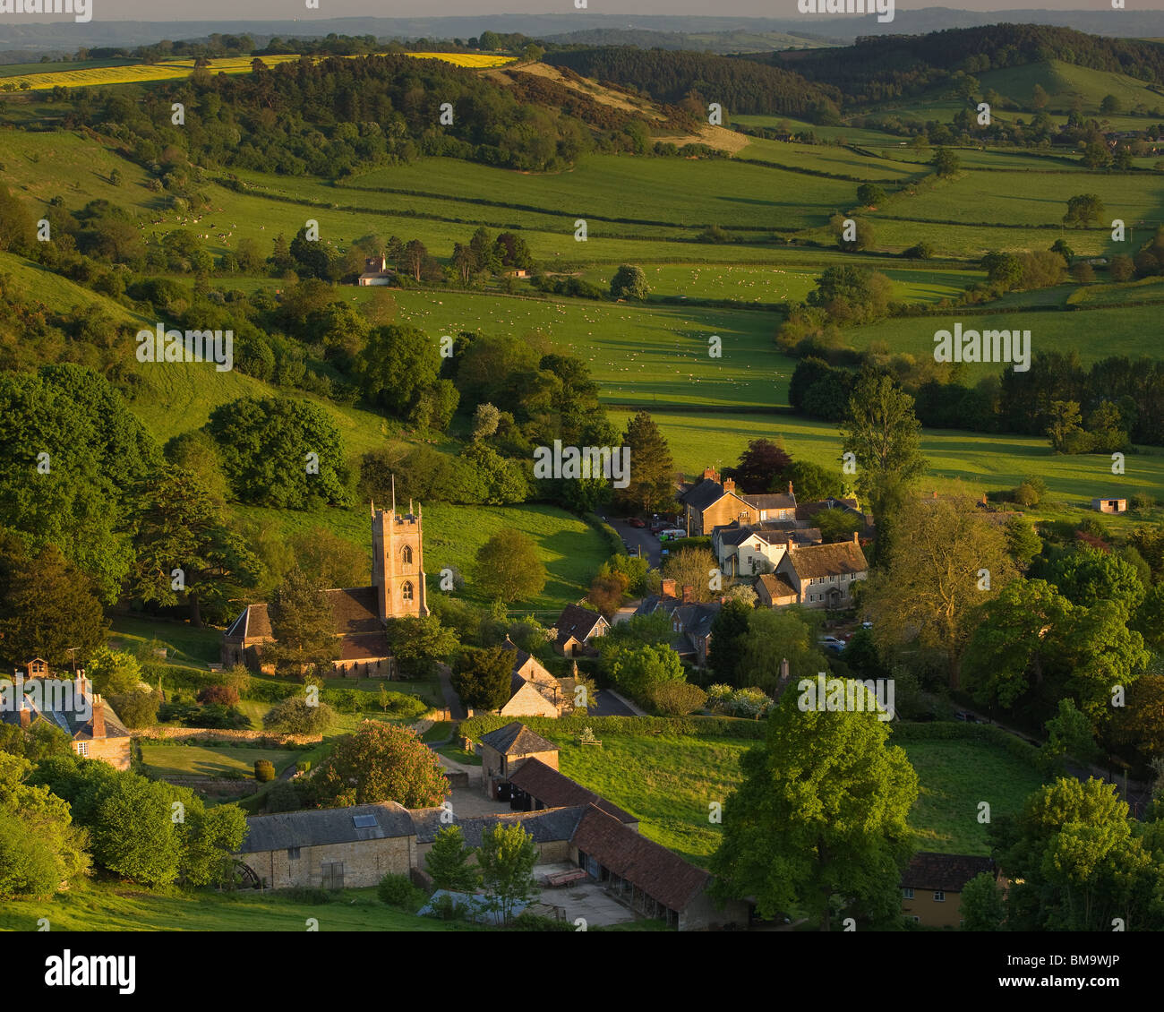 Dorset border High Resolution Stock Photography and Images - Alamy
