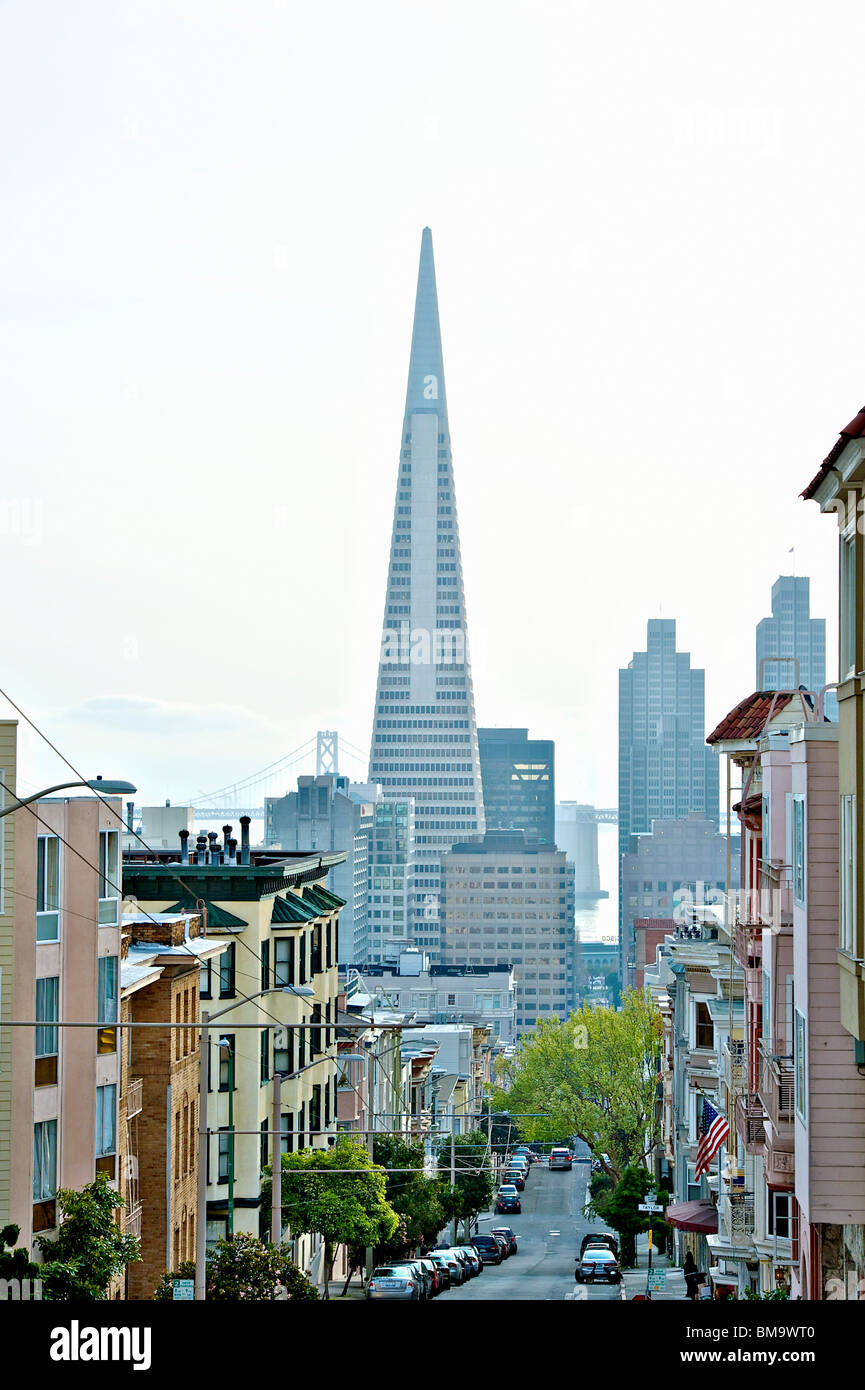 Transamerica Pyramid San Francisco designed by William Pereira Stock ...