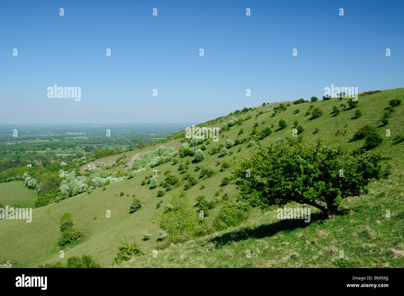 South downs england ditchling hi-res stock photography and images - Alamy