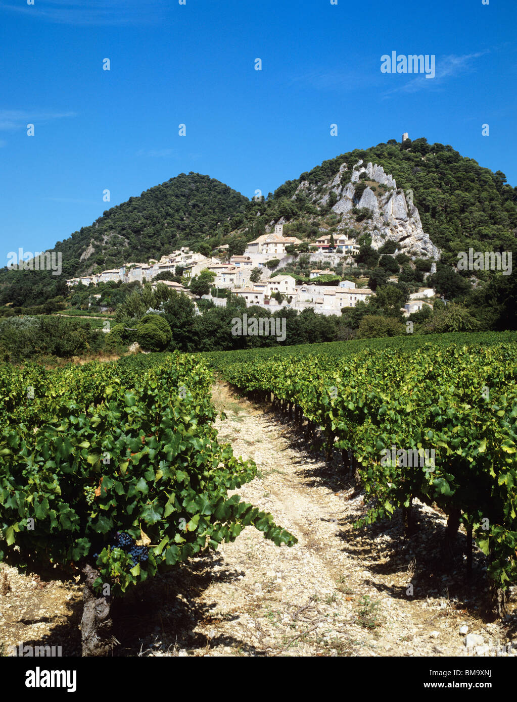 Seguret vineyards hi-res stock photography and images - Alamy