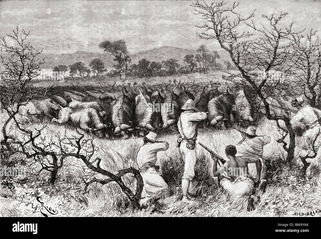 Hunting buffalo in Central Africa in the late 19th century Stock Photo ...