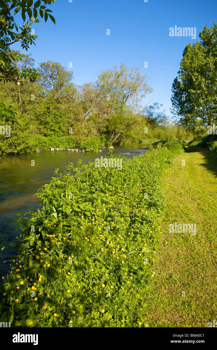 View of the River Nadder on the edge of Harnham Water Meadows Stock ...