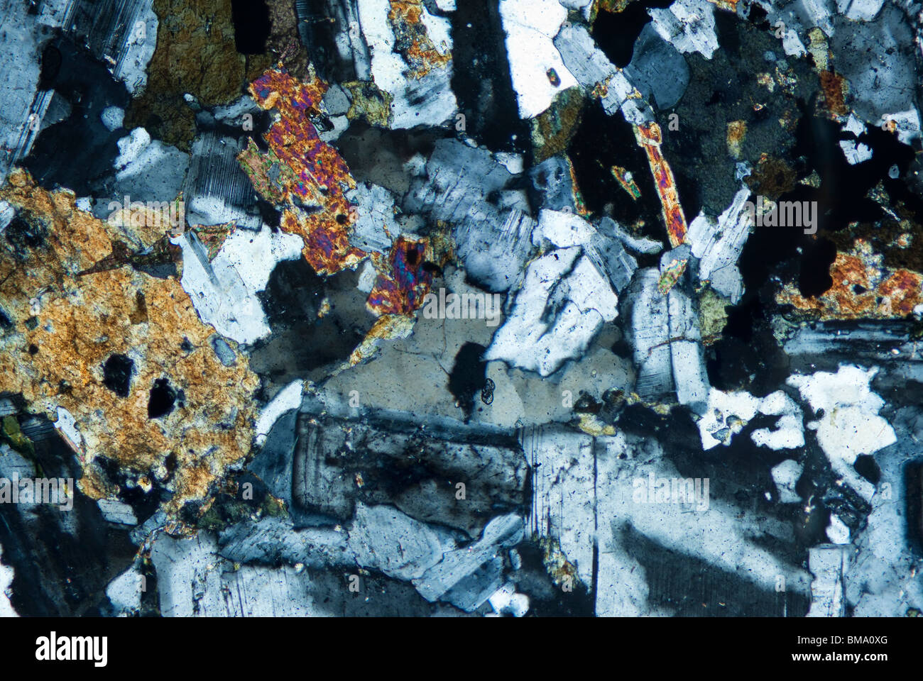 Tonalite rock ore microscope view pol polarised light mineral ...