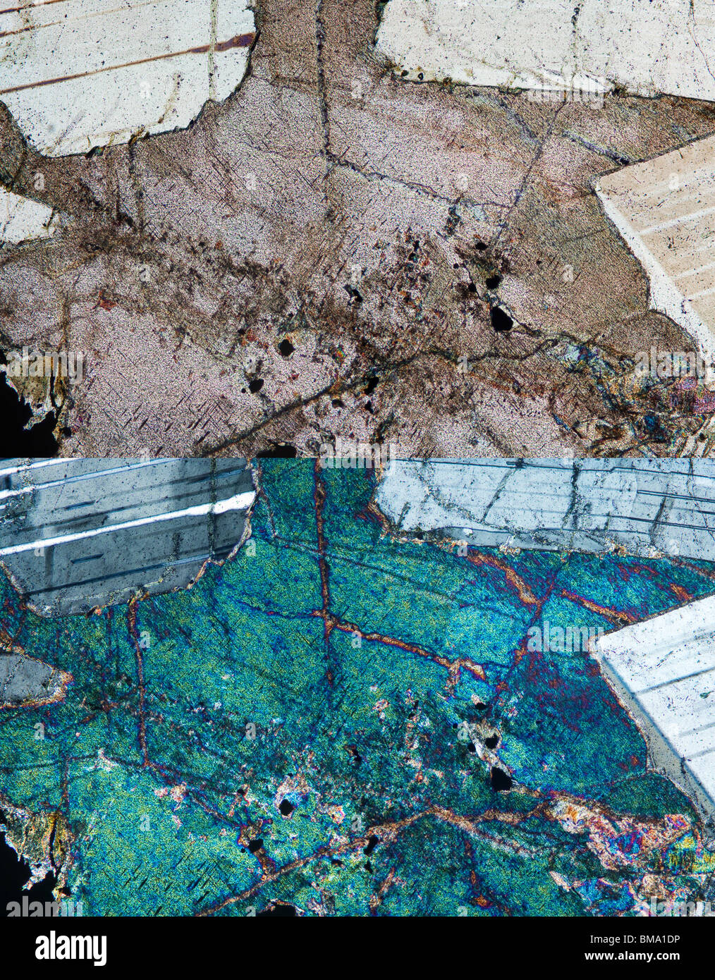 Geological microscope slide hi-res stock photography and images - Alamy