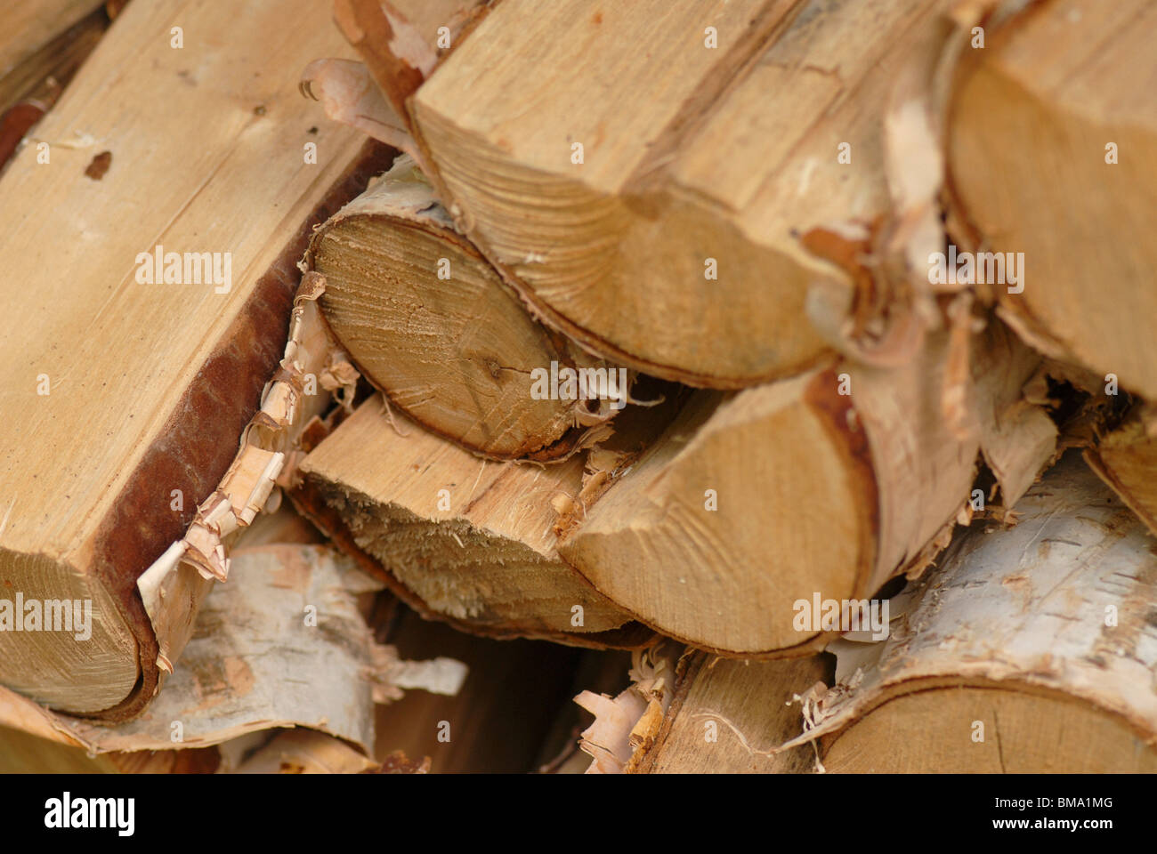 Chopped birch hi-res stock photography and images - Alamy