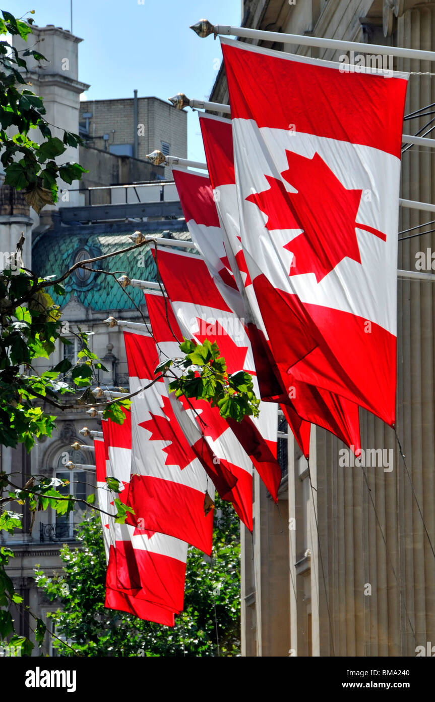 Canadian flags outside the High Commission building entrance in ...