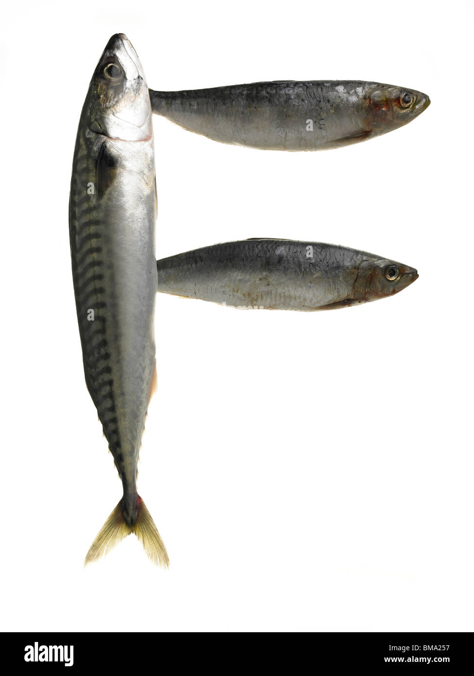 Letter f Cut Out Stock Images & Pictures - Alamy