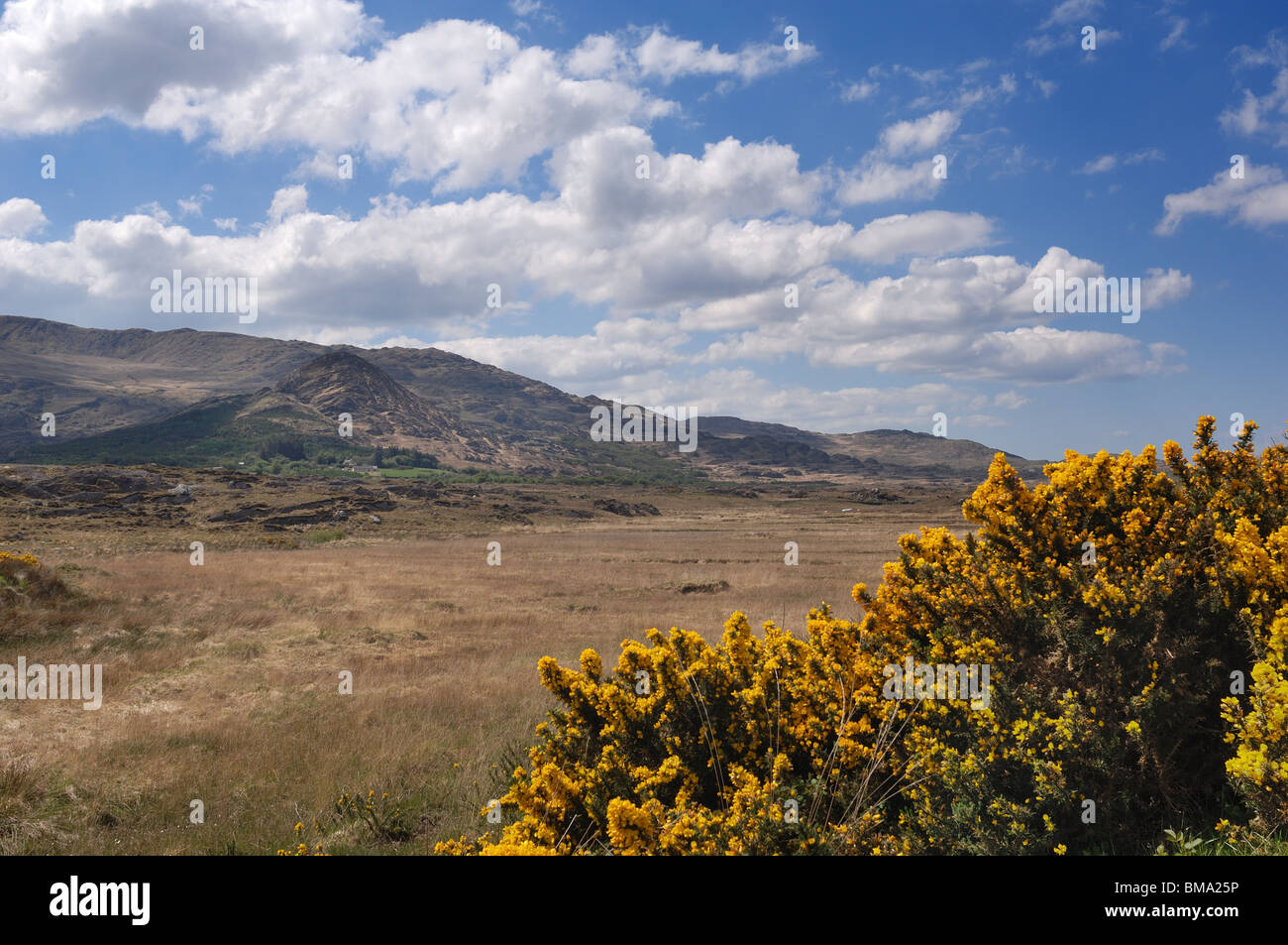 County cork countryside hi-res stock photography and images - Alamy