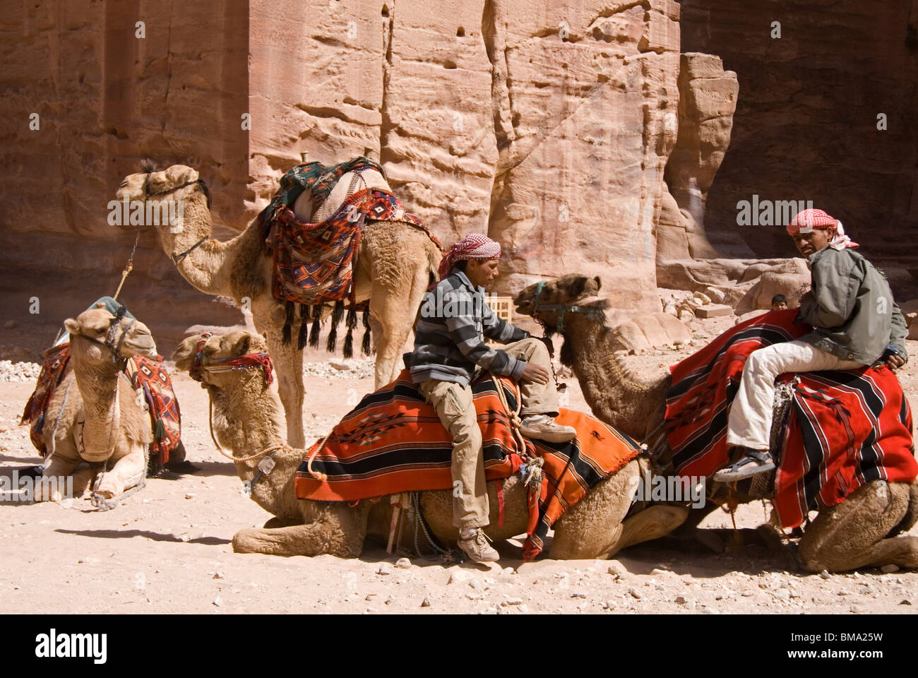 Four 4 camels with riders resting in Petra Jordan Stock Photo - Alamy