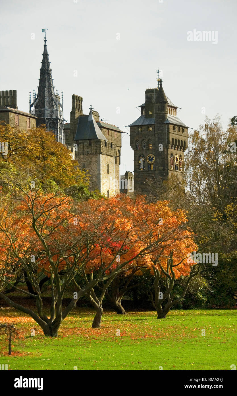 Cardiff Castle, trees with coloured leaves, park, Cardiff, Wales, Great ...