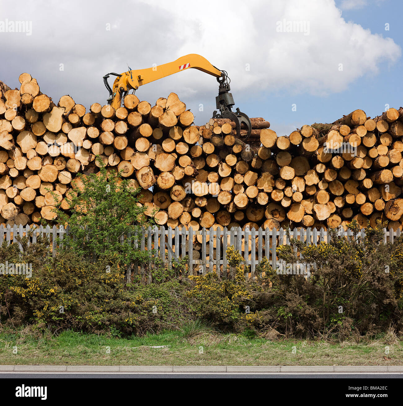 Forestry scotland borders hi-res stock photography and images - Alamy