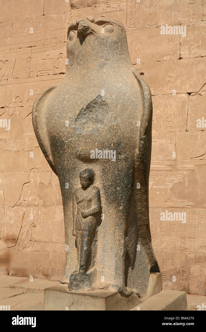 Statue of the falcon god Horus at the Horus Temple in Edfu, Egypt Stock ...
