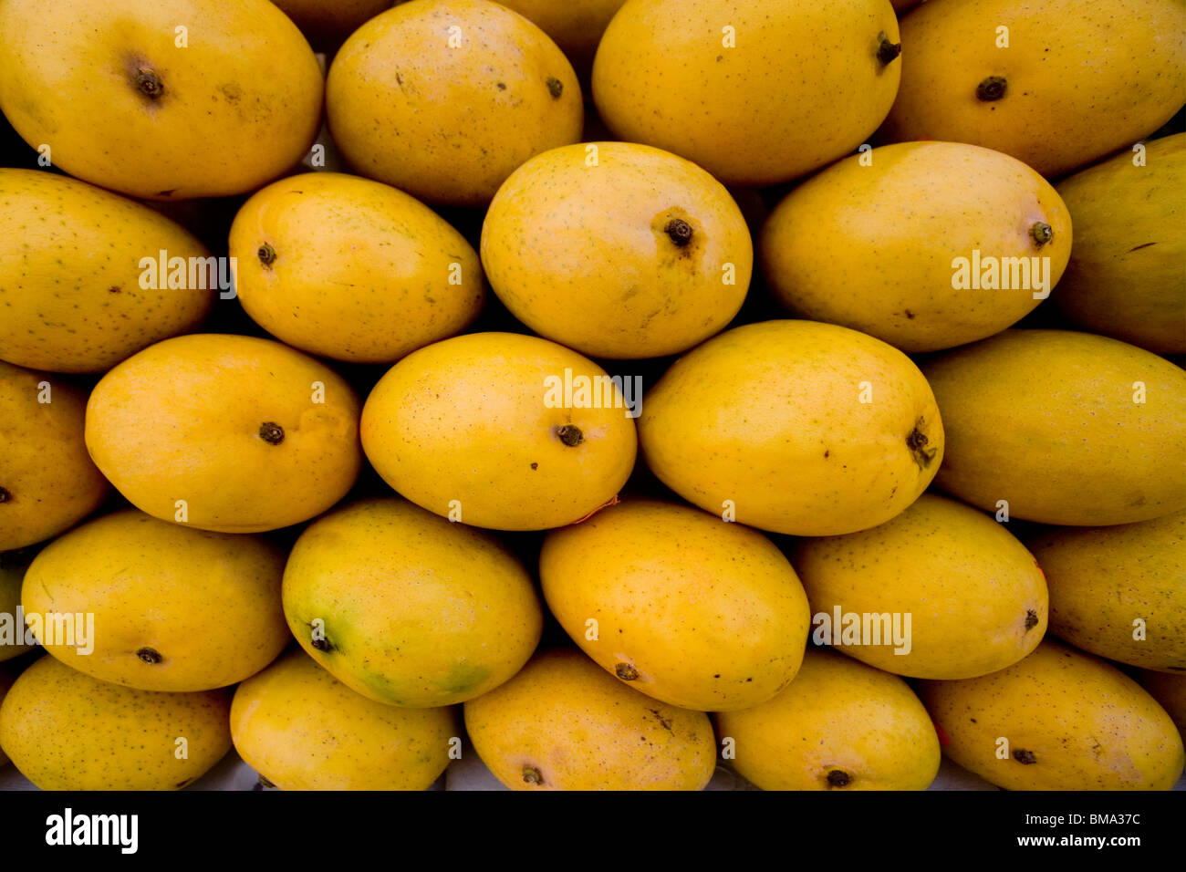 Mangoes in an outdoor market Stock Photo - Alamy