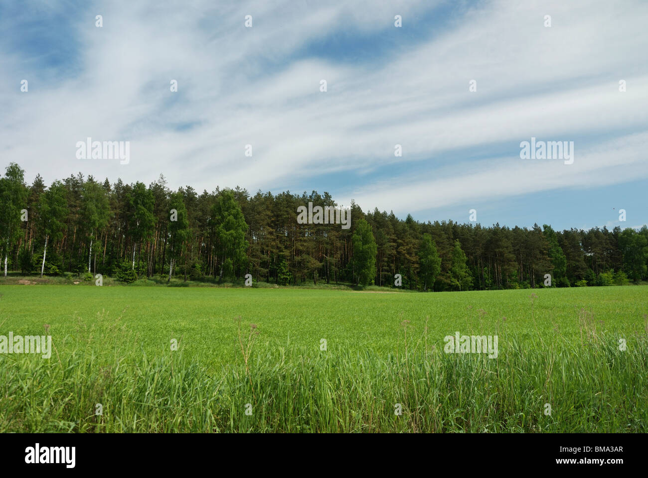 Landscapes poland region hi-res stock photography and images - Alamy