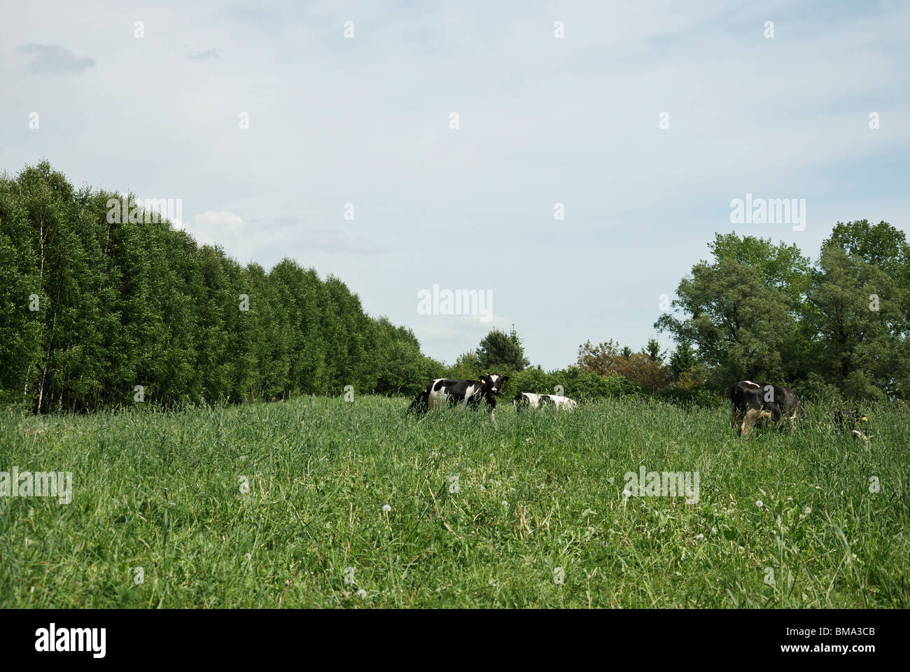 Landscapes - Masuria Lake District in Poland, Europe (Mazury, Polska ...