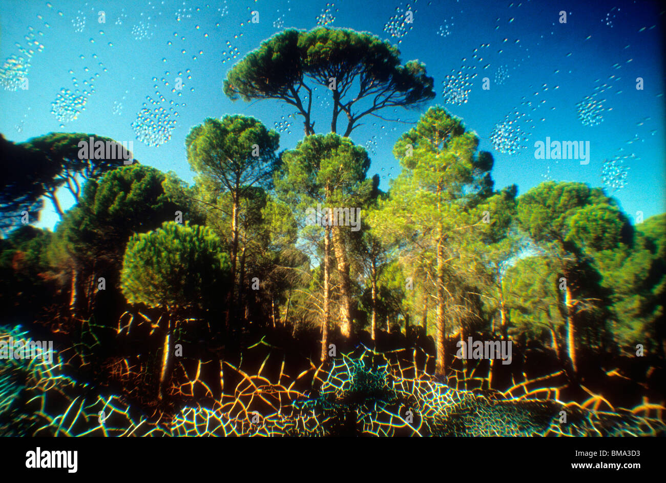 Prehistoric landscapes illustrations hi-res stock photography and ...