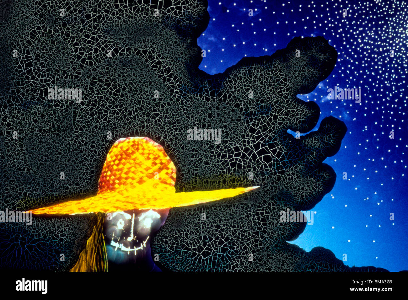 Scared skull hi-res stock photography and images - Alamy