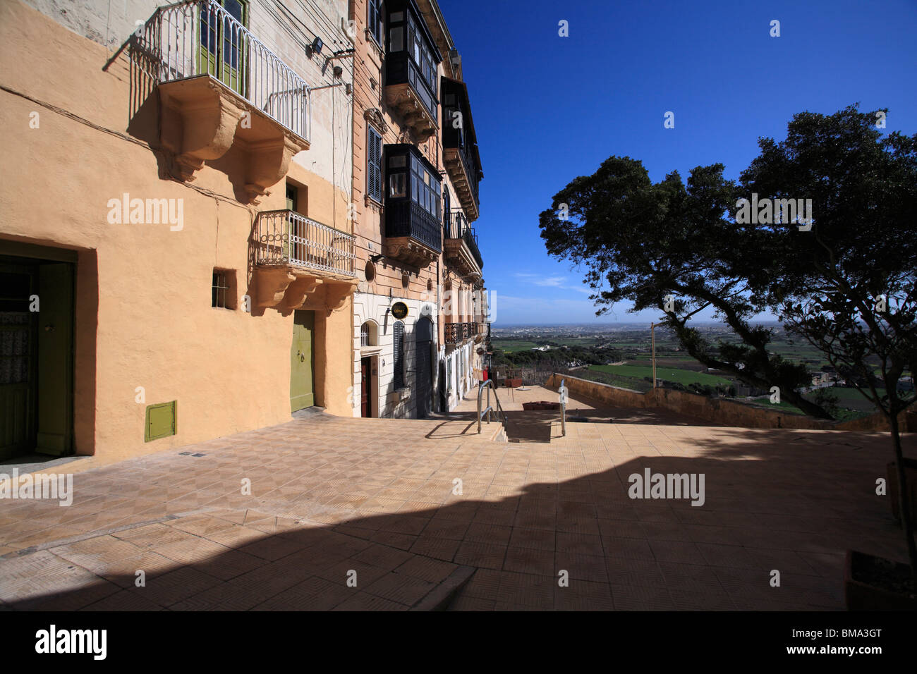 A street on the hillside of Rabat, Malta with a large Cypress Tree and ...