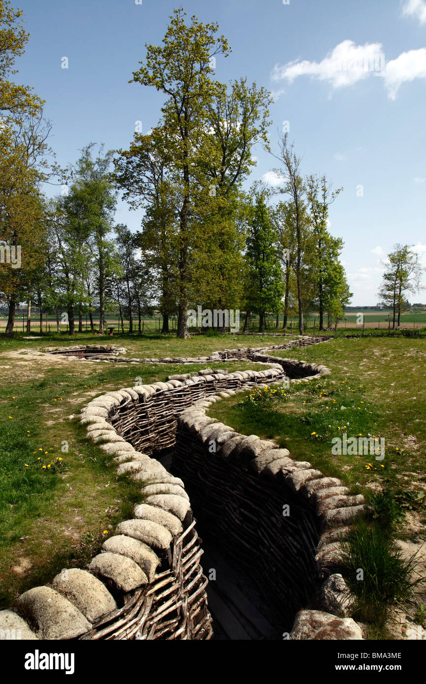 The World War One German 'Bayernwald' trench system near Ypres in ...