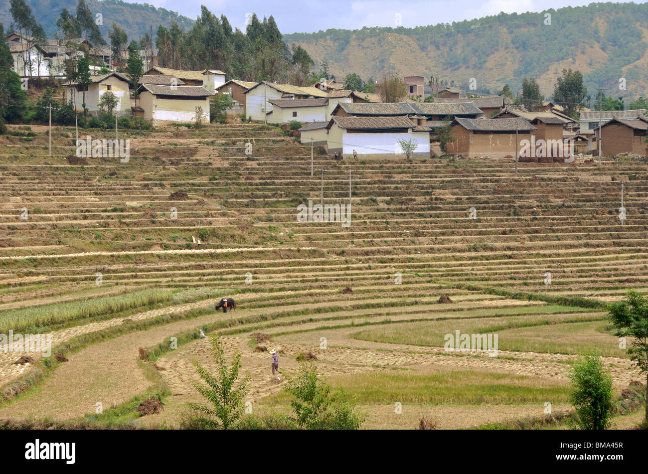 China rural farming hi-res stock photography and images - Alamy