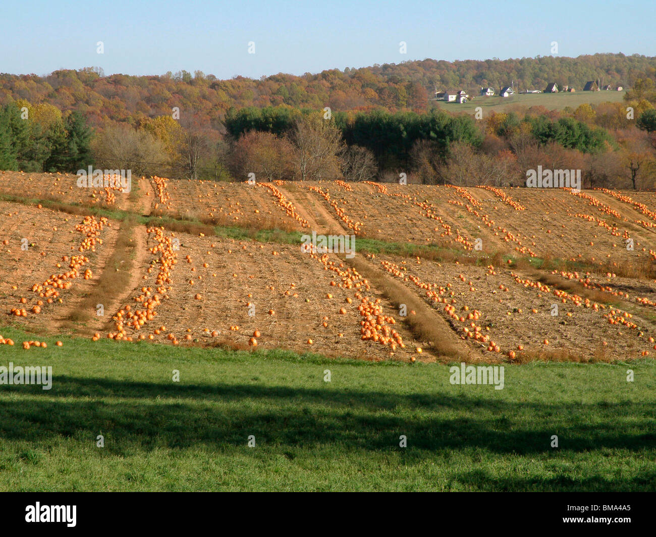 Rural scenery virginia hi-res stock photography and images - Alamy