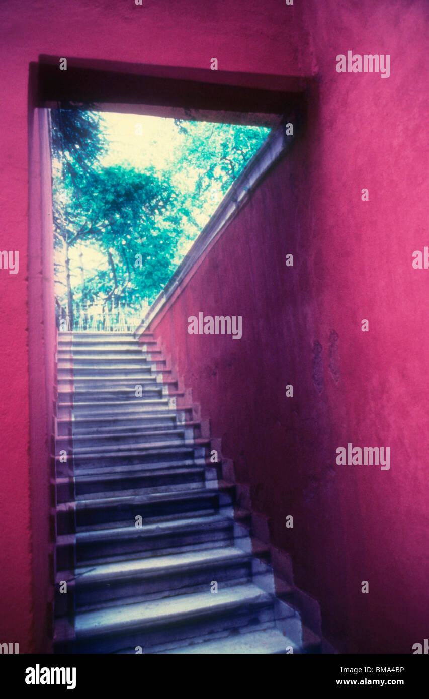 Cellar stairs hi-res stock photography and images - Alamy