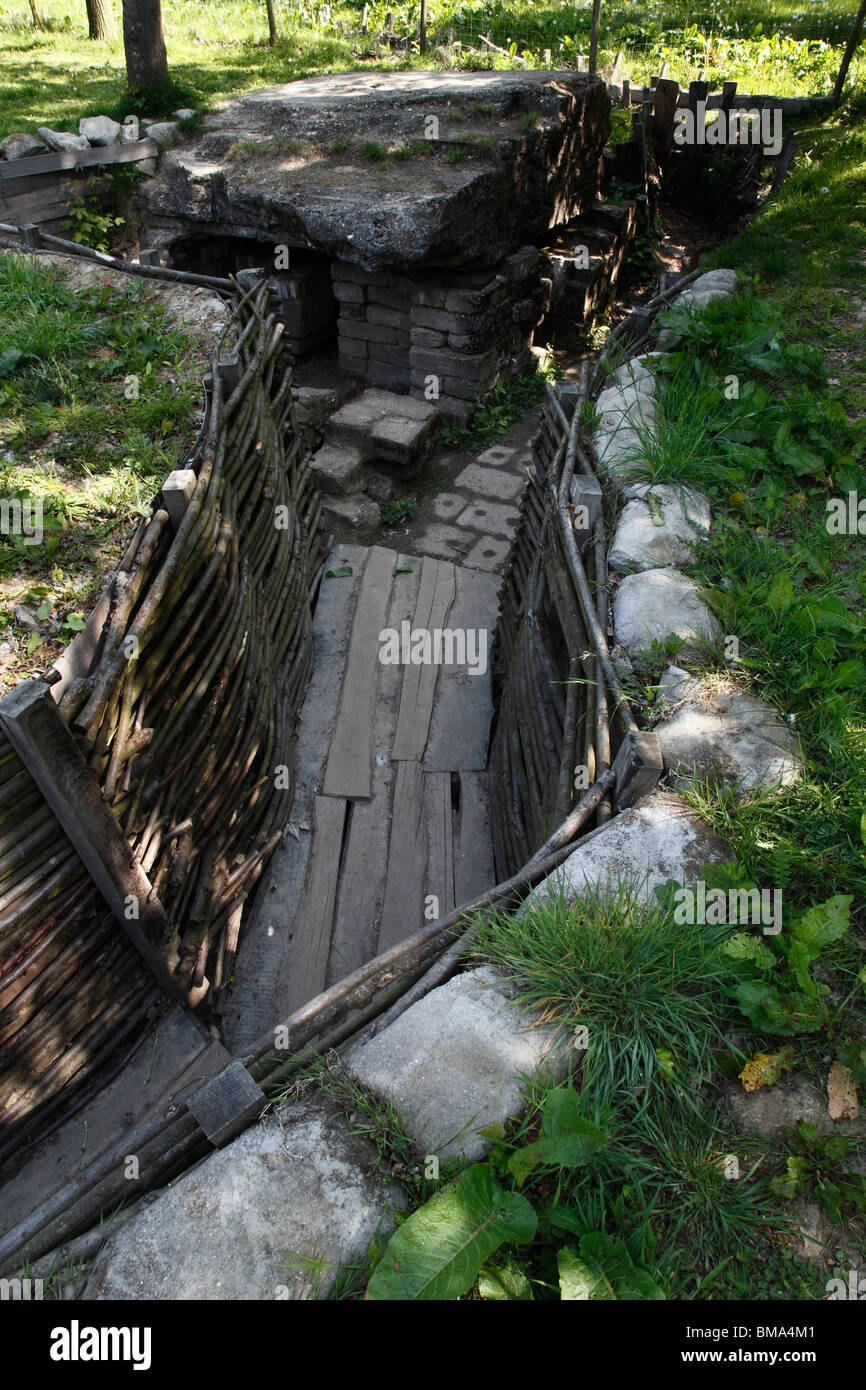 The World War One German 'Bayernwald' trench system near Ypres in ...