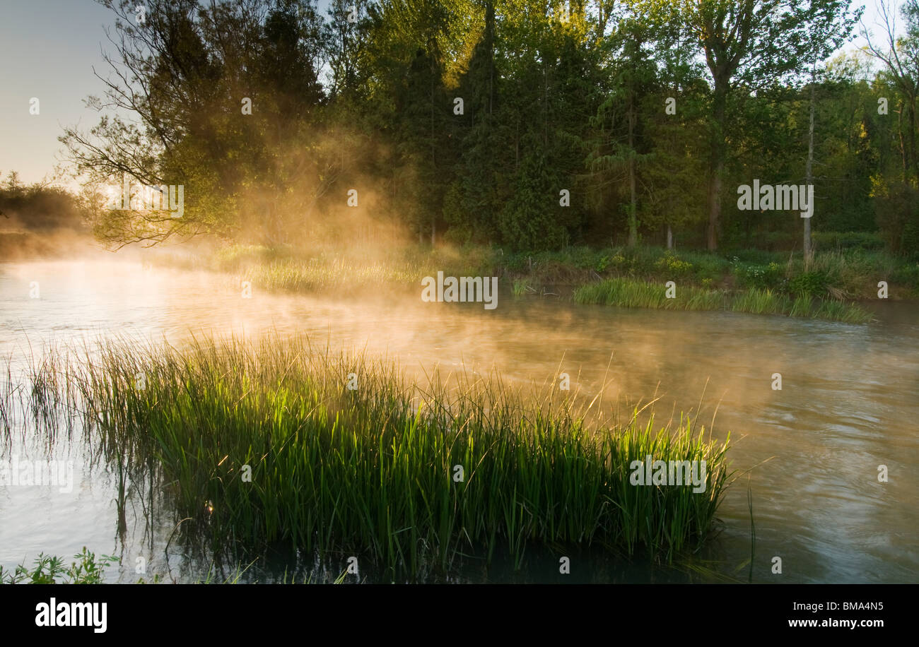 Mist rising over river hi-res stock photography and images - Alamy