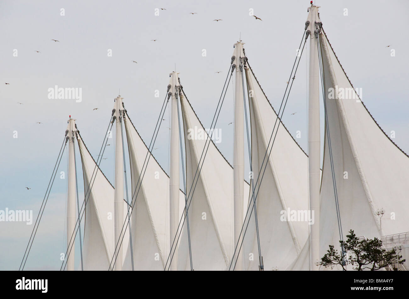 Five sails hi-res stock photography and images - Alamy