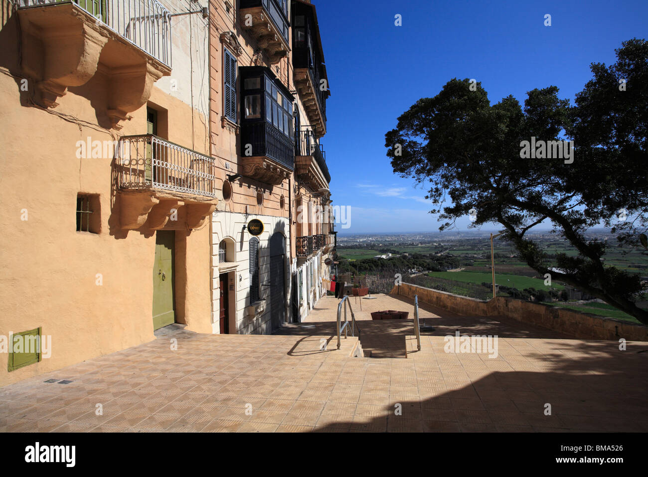 A street on the hillside of Rabat, Malta with a large Cypress Tree and ...