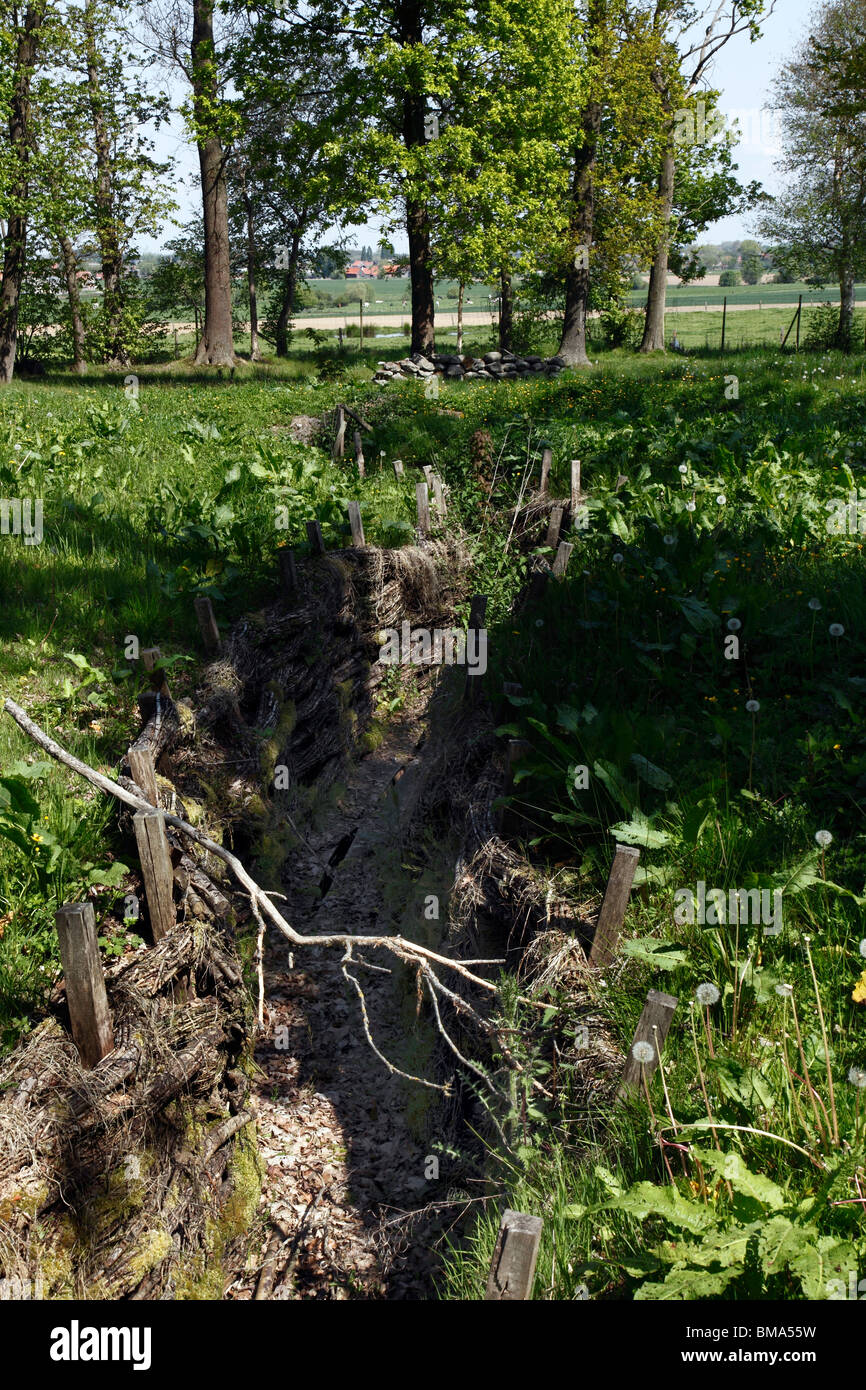 The World War One German 'Bayernwald' trench system near Ypres in ...