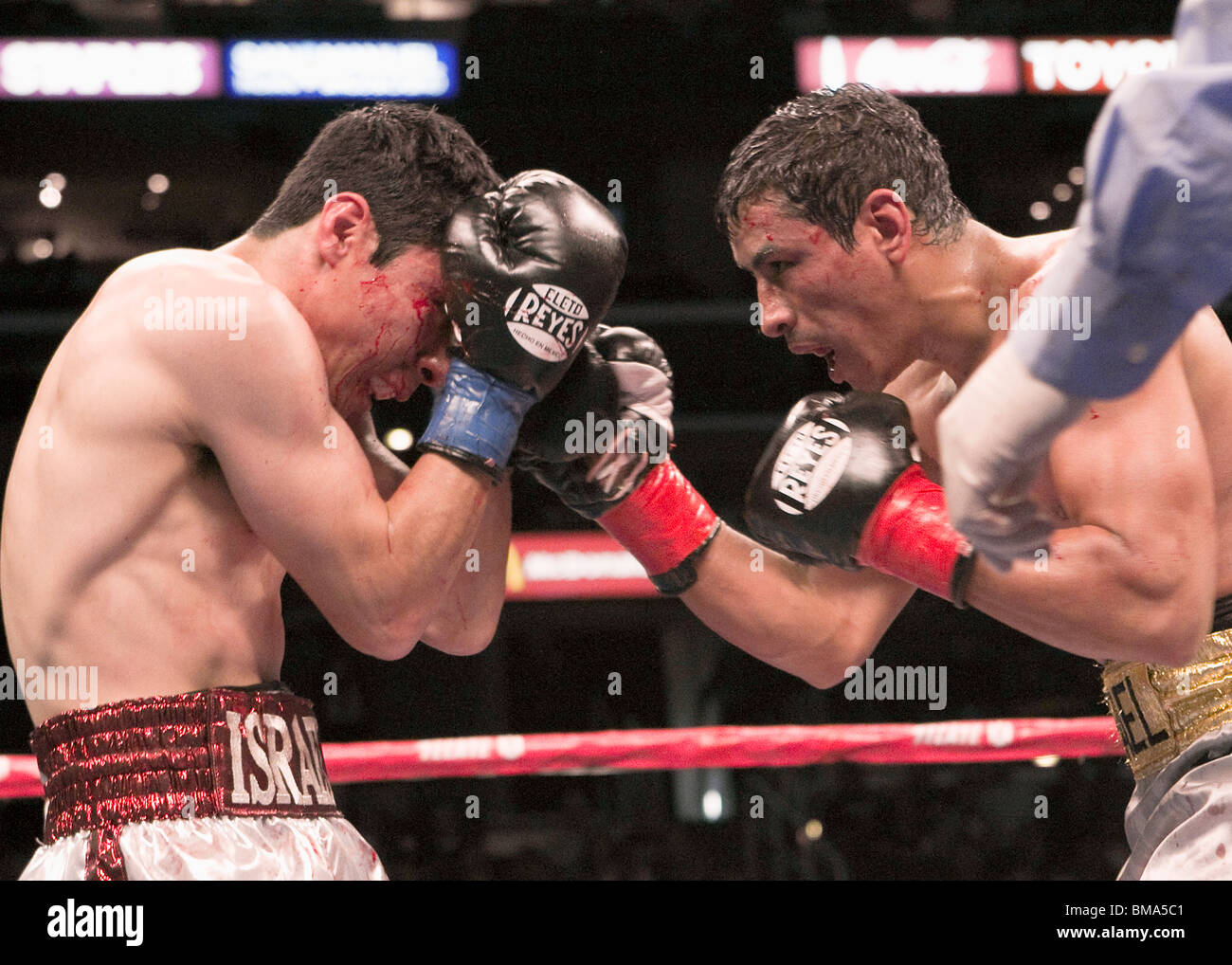 Israel Vazquez vs Rafael Marquez Stock Photo - Alamy