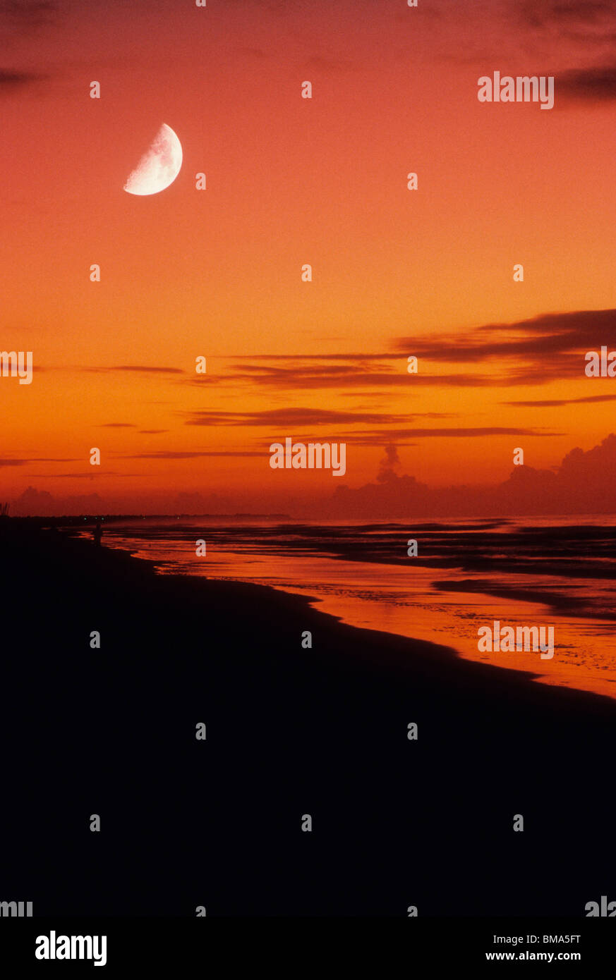 The Two Moons In Sky Over The Beach