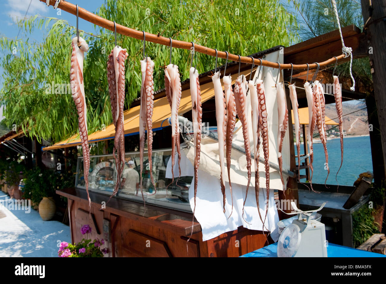 Cuttle fish ink hi-res stock photography and images - Alamy
