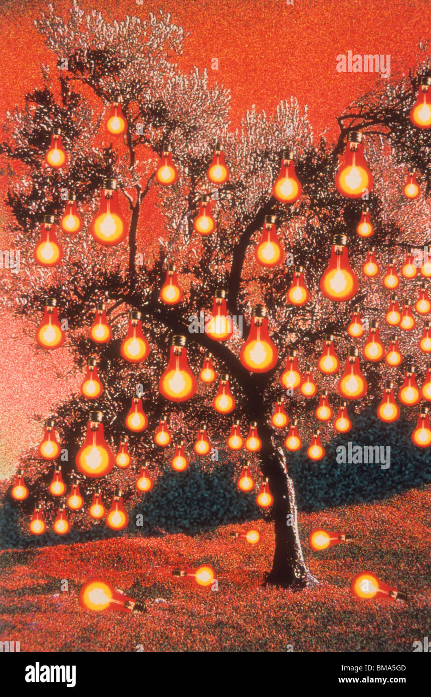 Outdoor tree lighting ideas hi-res stock photography and images - Alamy