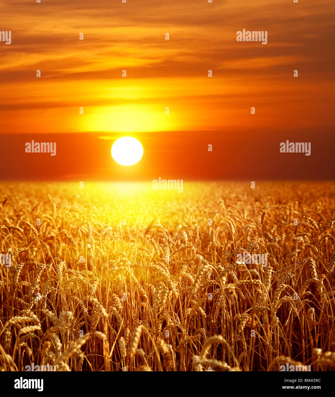 Saturated color colors scenic hi-res stock photography and images - Alamy