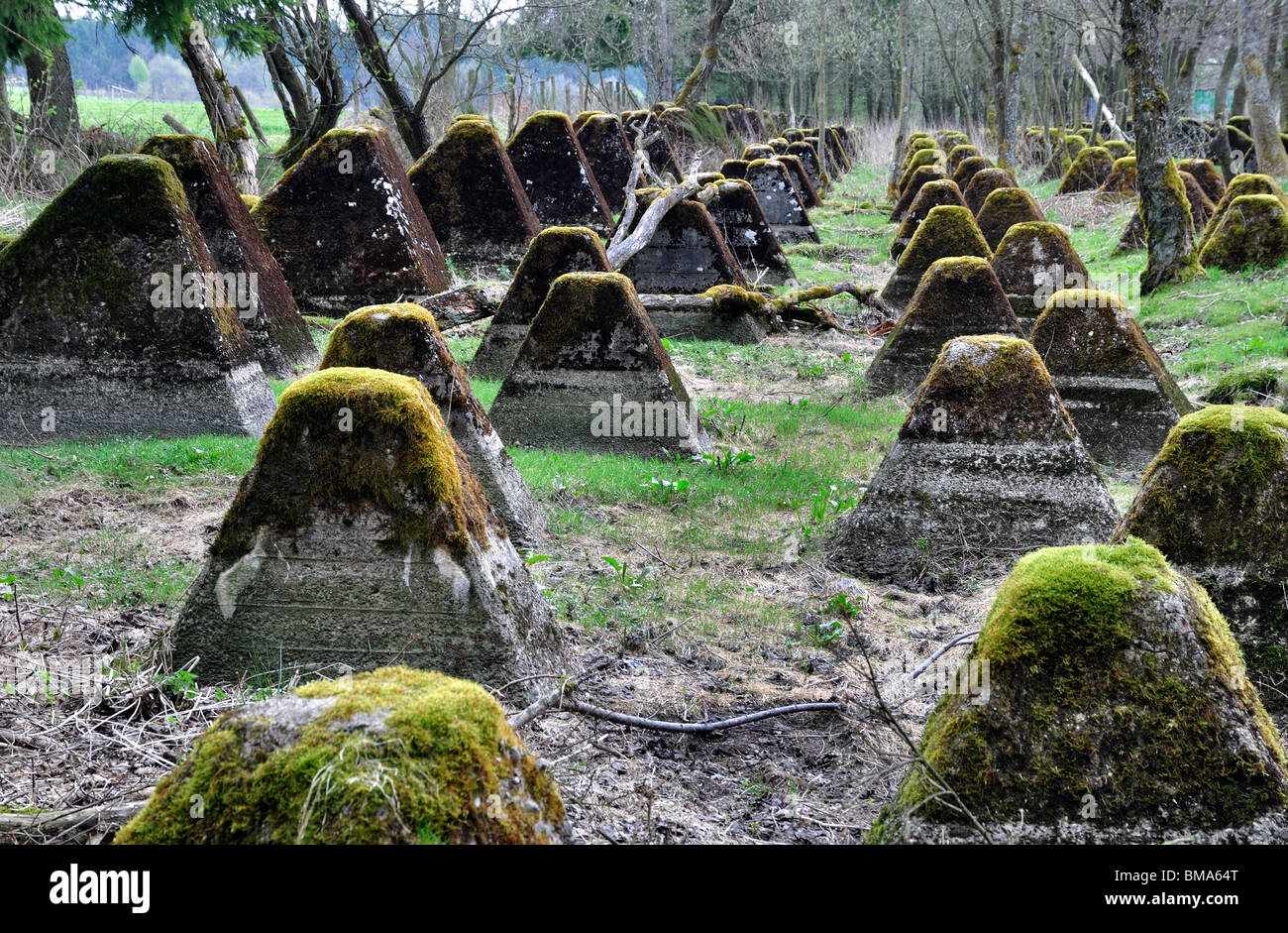 Dragon's teeth tank obstacles in German Siegfried Line, Hollerath ...