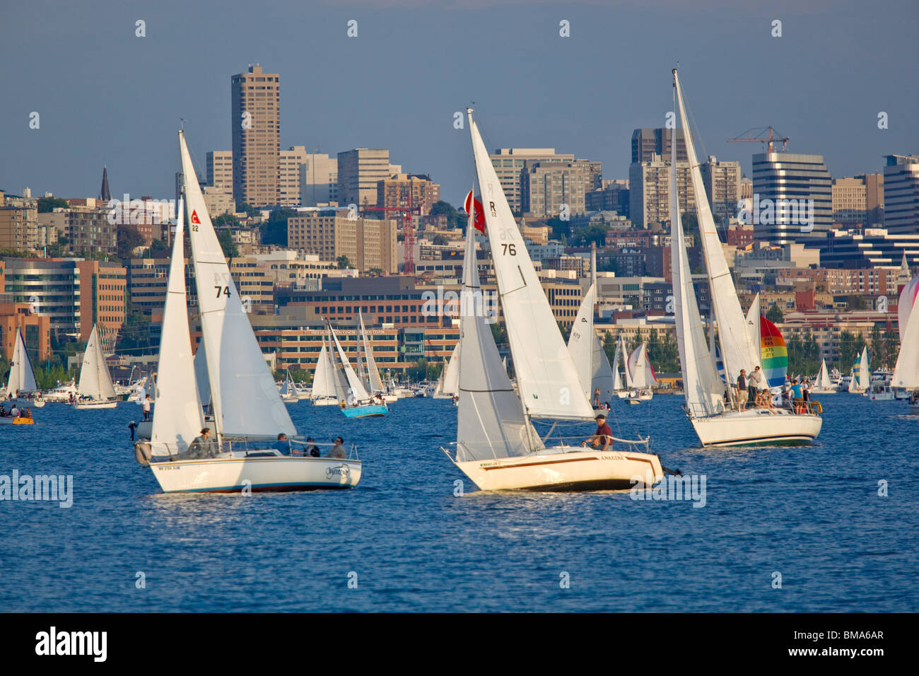 Seattle, WA Sailboats on Lake Union racing in the weekly Duck Dodge ...