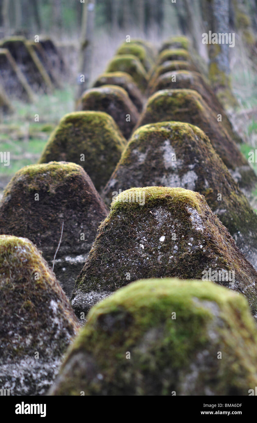 Dragon's teeth tank obstacles in German Siegfried Line, Hollerath ...